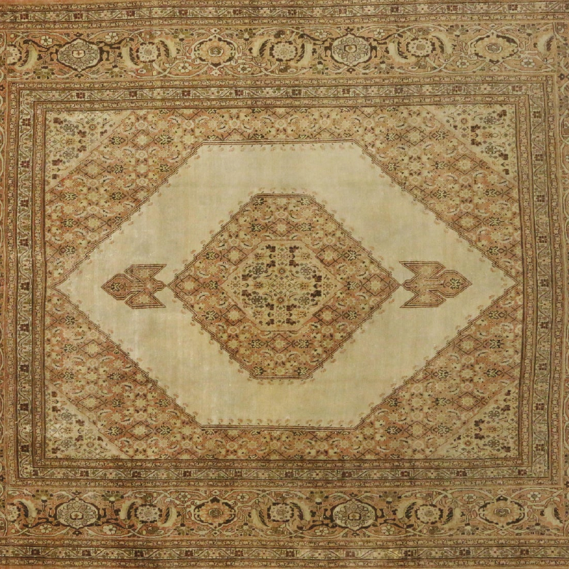 Sacred Learning Traditional Islamic Learning